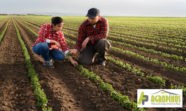 Agropinos Febrero 2022